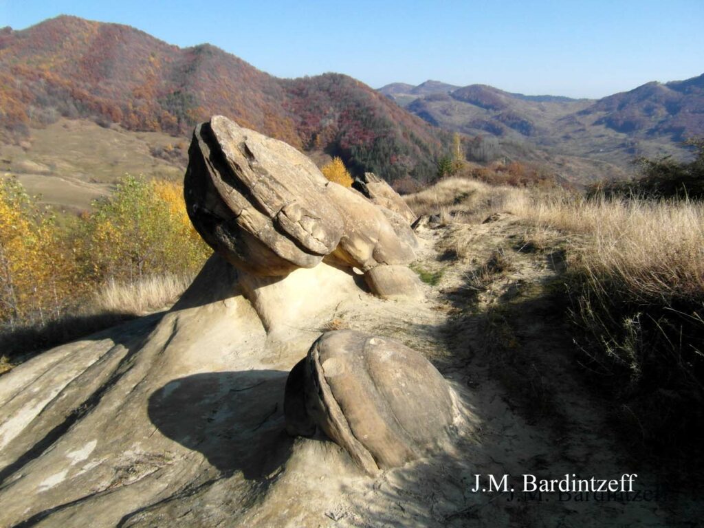 trovant, par Jacques-Marie Bardintzeff