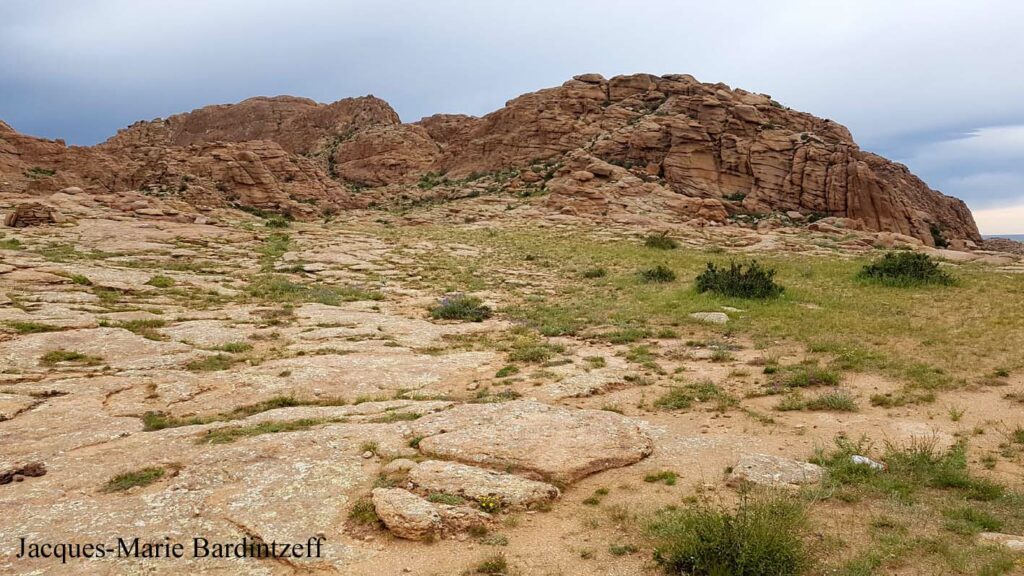 Granite de Baga Gazriin Chuluu, Mongolie, par Jacques-Marie Bardintzeff