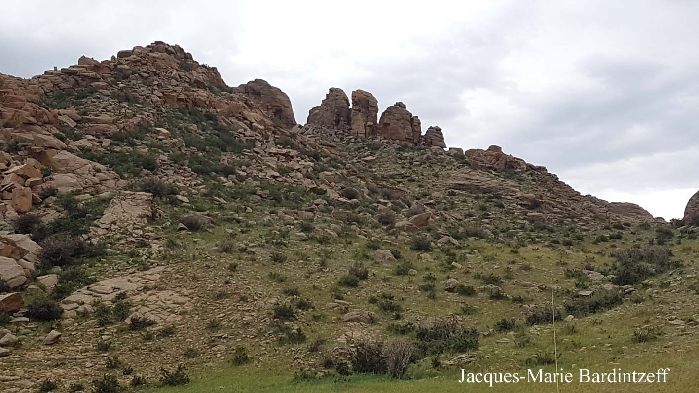 Granite de Baga Gazriin Chuluu, Mongolie, par Jacques-Marie Bardintzeff