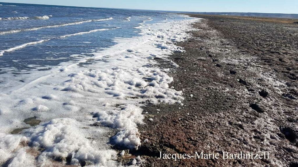 La mer d’Aral en Ouzbékistan, par Jacques-Marie Bardintzeff