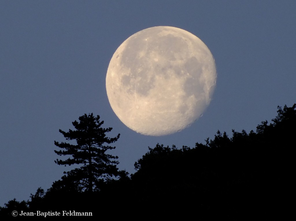 lune