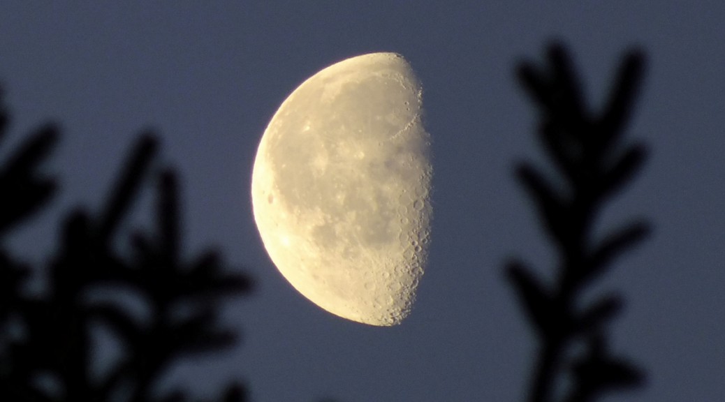 Lune gibbeuse, par Jean-Baptiste FELDMANN