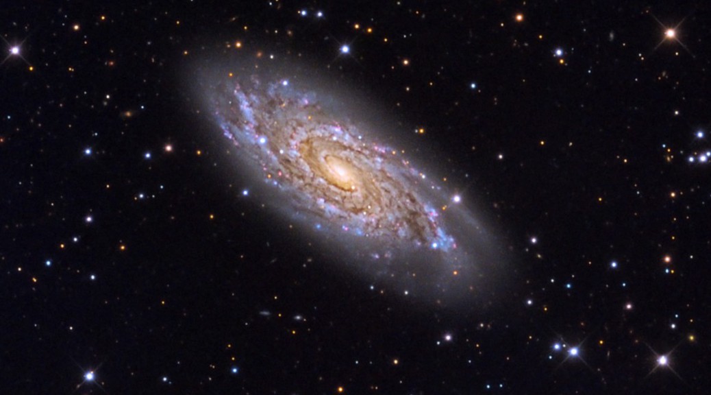 Gros plan sur la majestueuse galaxie spirale NGC 6118