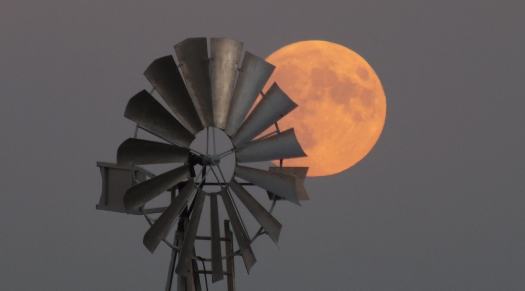 Le 28 mars, vous pourrez admirer la Pleine Lune du printemps