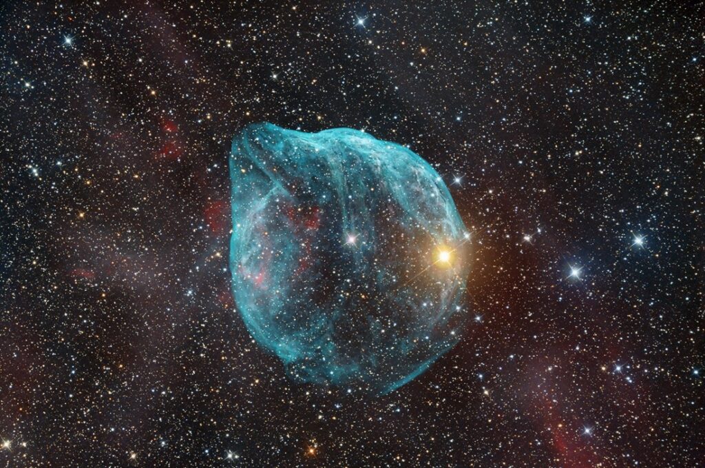 Sh2-308, la bien nommée nébuleuse de la tête du Dauphin