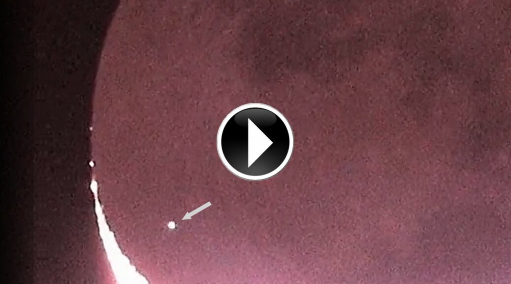 Daichi Fujii, par Jean-Baptiste FELDMANN